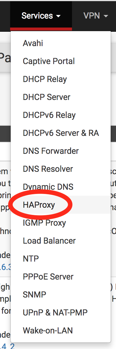 pfSense-HAProxy-Open - Next Project